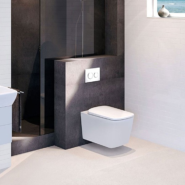 Toilet Flush Plates | Wall Mounted Toilet Flush Panels | C.P. Hart