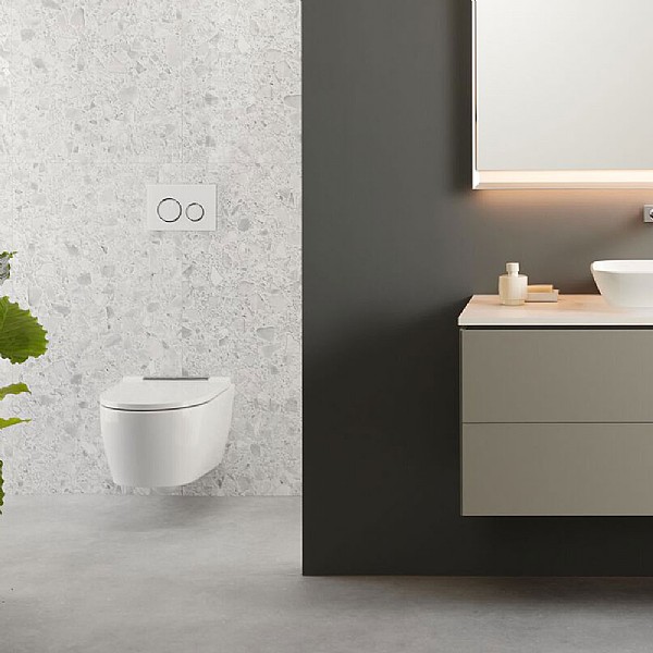 Toilet Flush Plates | Wall Mounted Toilet Flush Panels | C.P. Hart